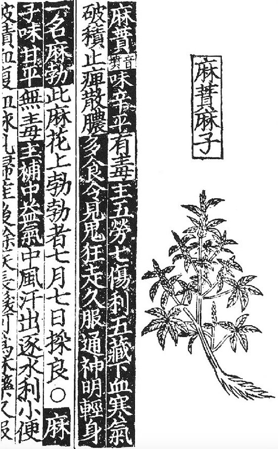 10 Benefits of Hemp Oil Everyone Should Look Into