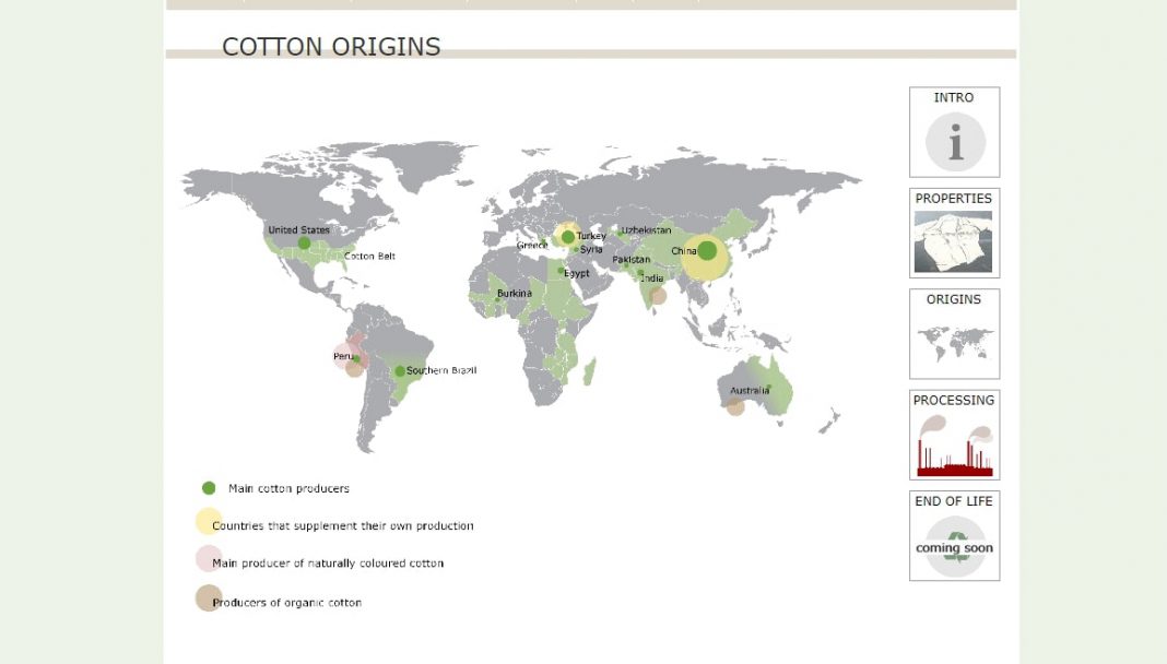 Facts About Cotton To Help You Make The Right Choice [Study]
