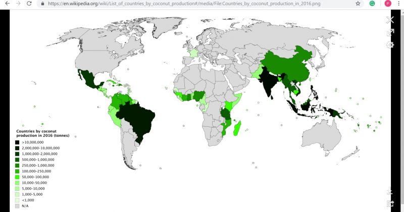 New To Sustainability? Eco Facts About Coconuts [2020 Edition]