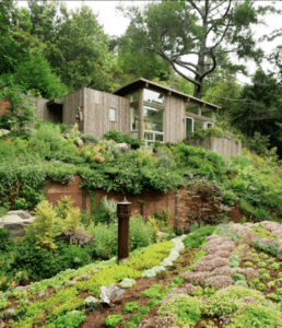 Eco Friendly Modular Homes: A Beginner's Guide