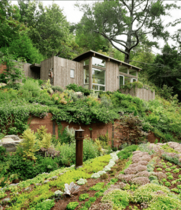 Eco Friendly Modular Homes: A Beginner's Guide