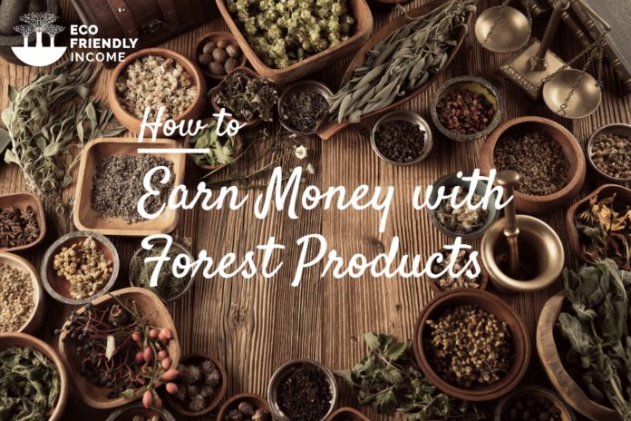 How to Earn Money with Forest Products | Eco Friendly Income
