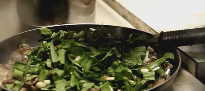 How You Can Steward and Forest Farm Endangered Wild Ramps