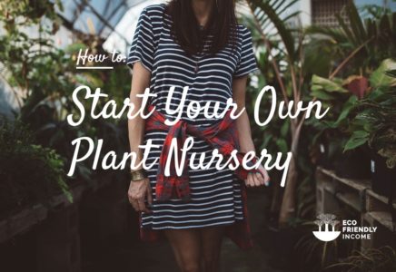 Hybrid Trees: The Tree Farming Guide For Beginners