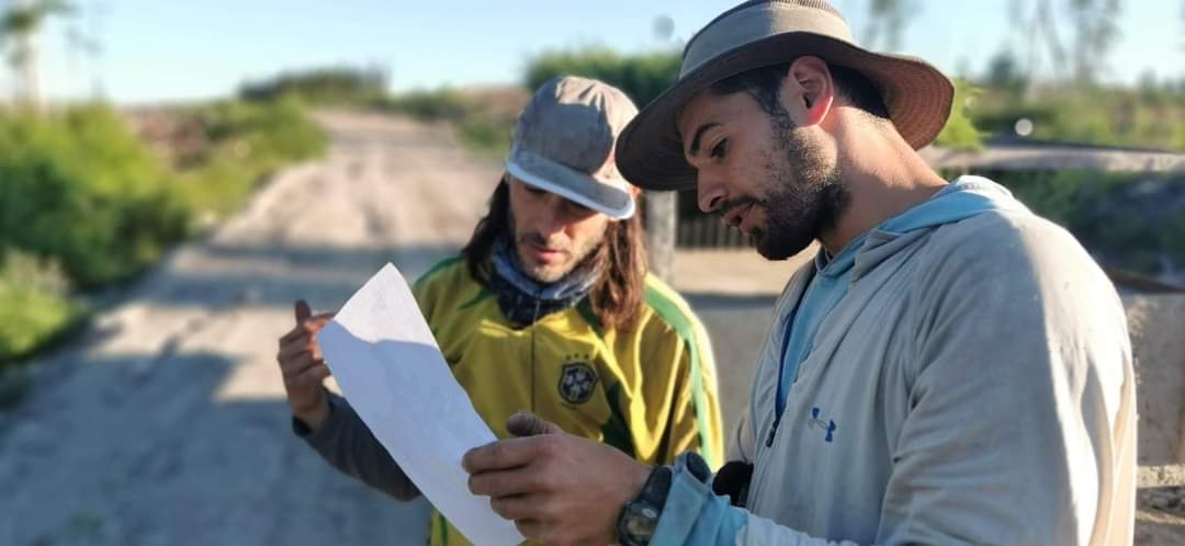 Tree Planting Business Plan: The Essentials for Success