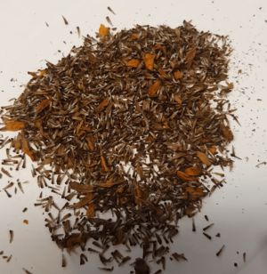 How to Identify & Propagate Helenium (Helenium autumnale)