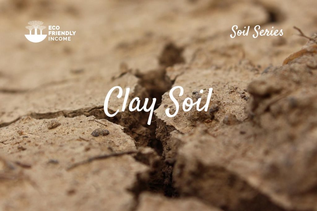 Clay Soil: What it's Made of & How to Plant in It
