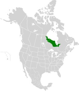 The Boreal Ecoregions: North America