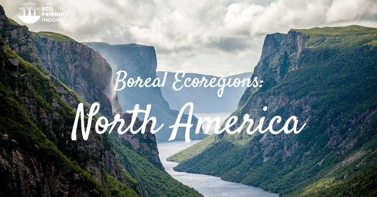 The Boreal Ecoregions: North America