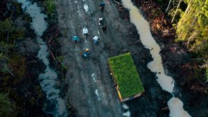 The Best Boots For Tree Planting: Boot Advice